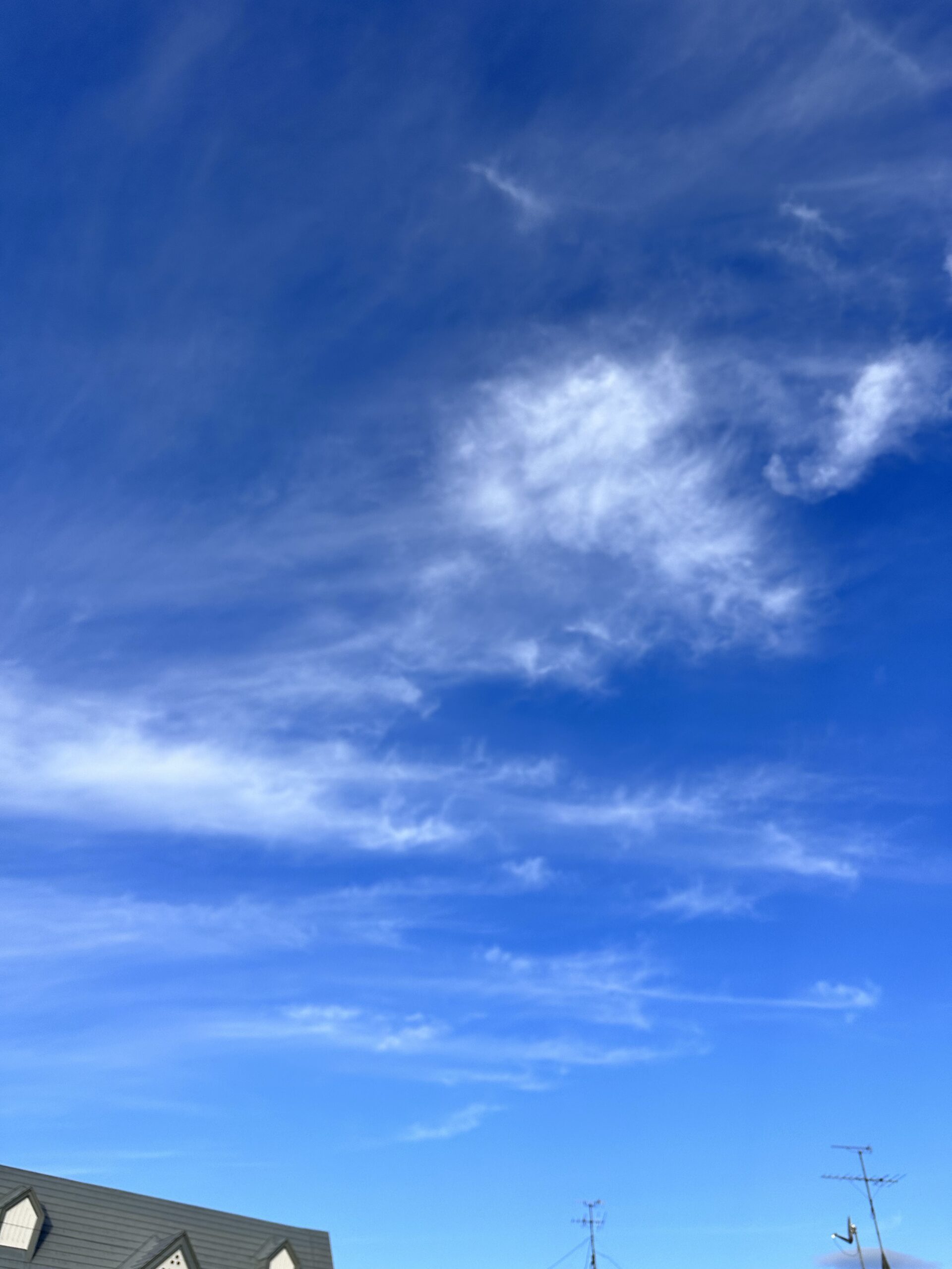 【寒くなった】2023/11/16 - my way 〜 t blog